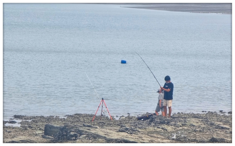 병풍도 맨드라미 축제. 병풍도 가는법. 병풍도배편. 순례자의섬. 소악도. 기점도. 병풍도.10월꽂축제.신안여객선운항안내 ...