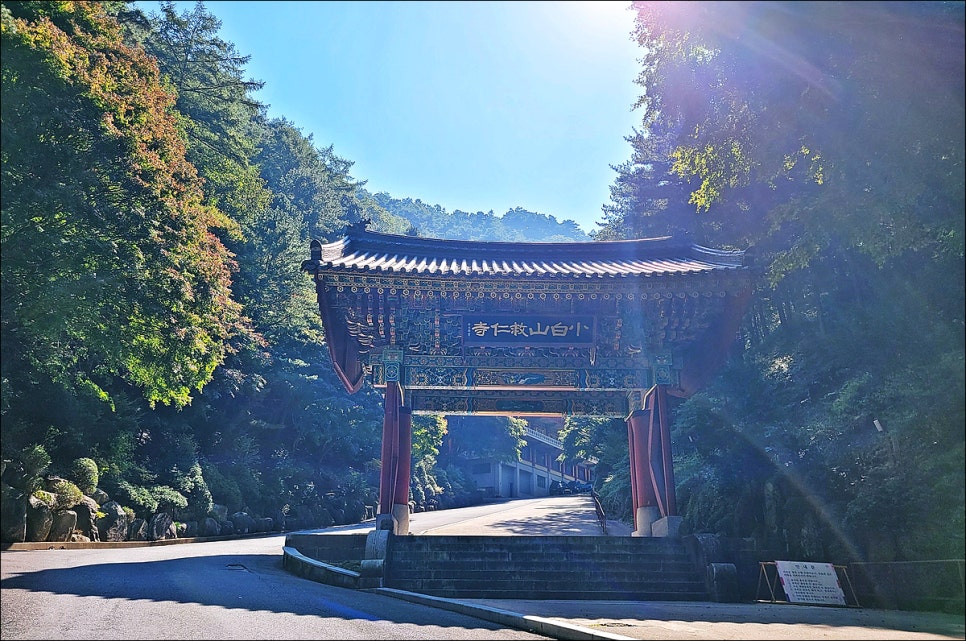 충북여행 드라이브 중부 내륙여행 소백산 단양 구인사 전국유명사찰 네이버 블로그
