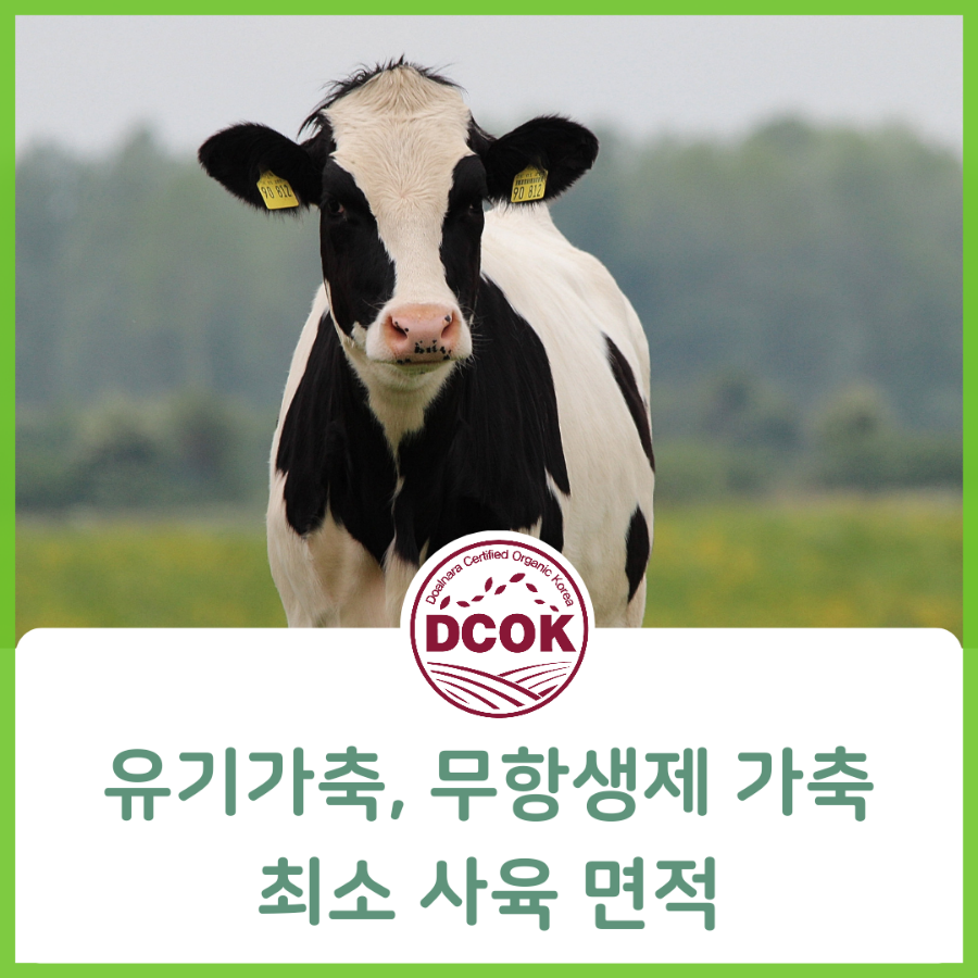 유기축산물 무항생제축산물 가축 최소 사육 면적 알아보기 인증기관 Dcok 돌나라유기인증코리아 네이버 블로그