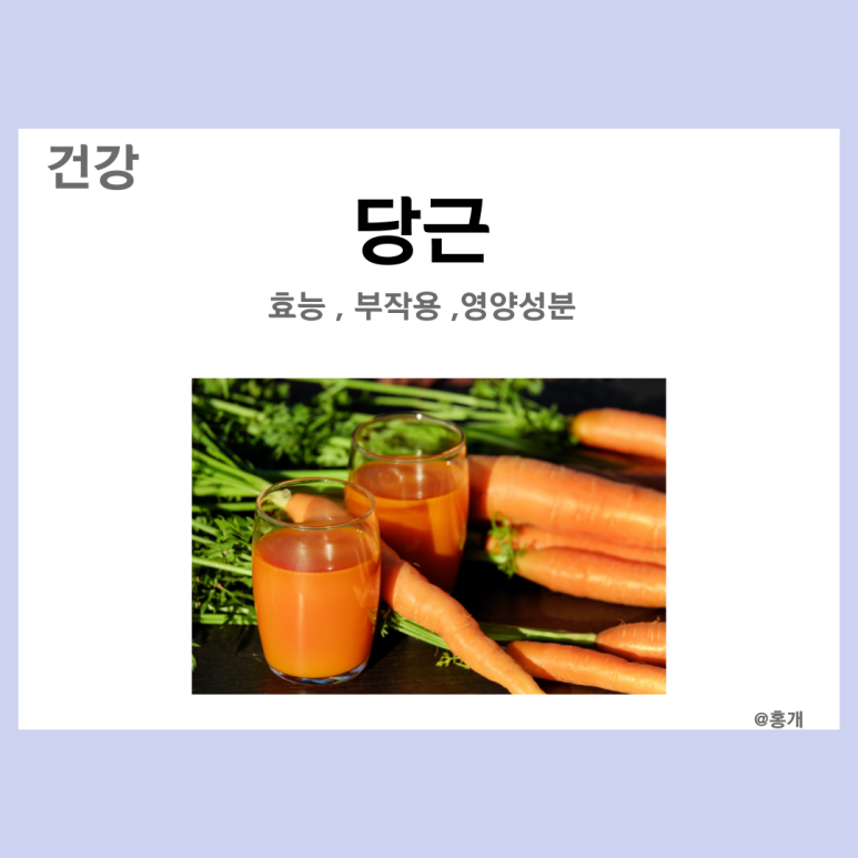 당근 칼로리 당근 효능 영양성분 탄수화물 당근 부작용 당근 눈 단백질 당근 고르는법 손질법 보관법