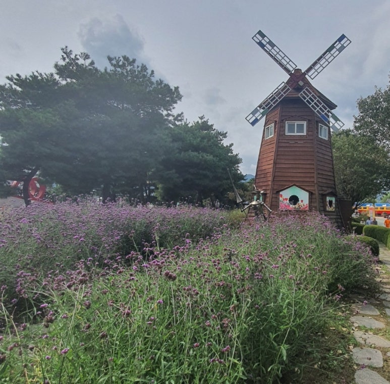 곡성 섬진강 기차마을 벌룬벌렁 이벤트 4d영상관 곡성 요술랜드 드림랜드 곡성심청상품권 네이버 블로그