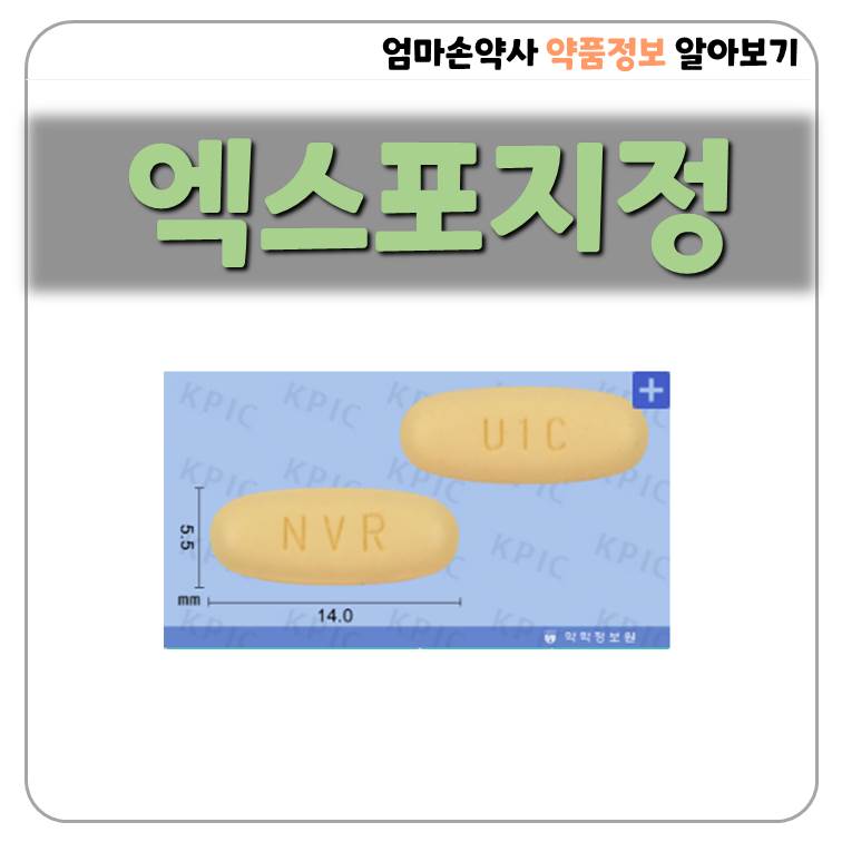 엑스포지정 고혈압엑스포지정효능성분용량용법부작용 네이버 블로그