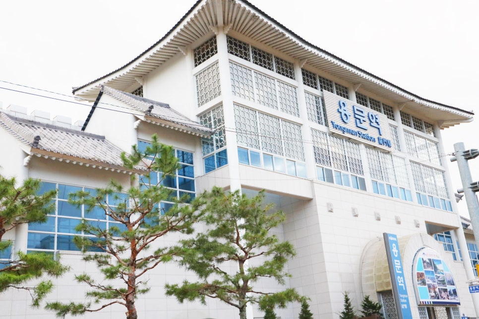 양평오일장 용문천년시장 양평장날 구경 양평 5일장 날짜 맛집 주차정보 네이버 블로그