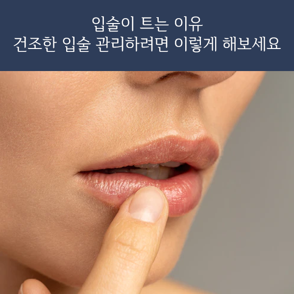 입술이 트는 이유 건조한 입술 관리하려면 이렇게 해보세요 네이버 블로그