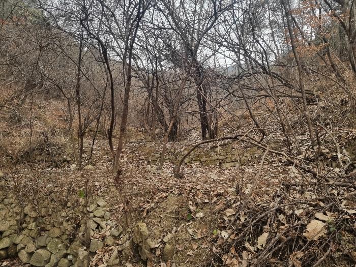 의성군 토지답경매 2021타경11270 경북 의성군 신평면 용봉리 263 토지답경매 네이버 블로그