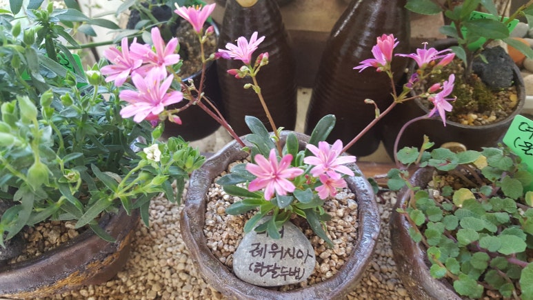 비닐하우스 최초개발자(한국) 이인돈박사 : 네이버 블로그