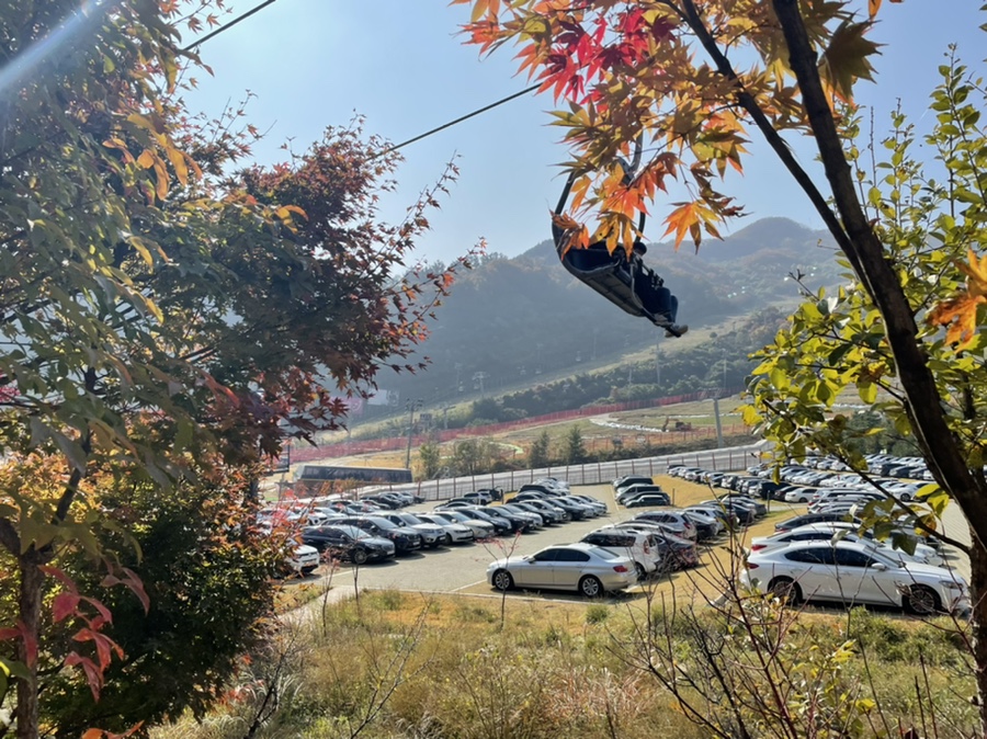 화담숲 단풍절정 화담숲주차장 입장시간화담숲코스포토존 화담숲 맛집 네이버 블로그