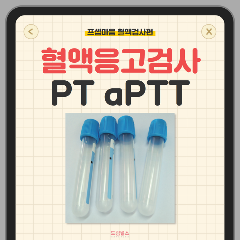 의학용어 PT aPTT 혈액응고검사 정리 : 네이버 블로그