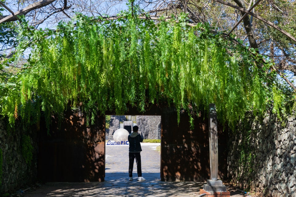 제주도 서쪽 관광지 루나피크닉 솔직 후기+ 야간 루나폴과 비교 : 네이버 블로그