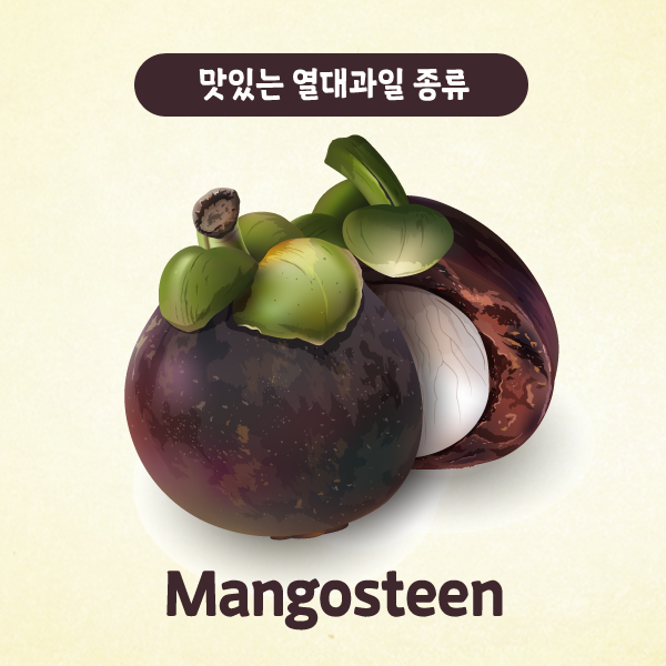열대과일 종류 및 영어로 표현 정리 네이버 블로그