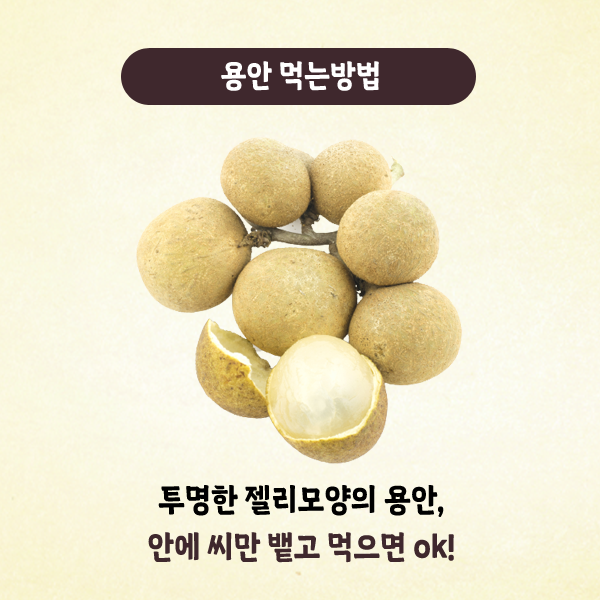 열대과일 종류 및 영어로 표현 정리 네이버 블로그