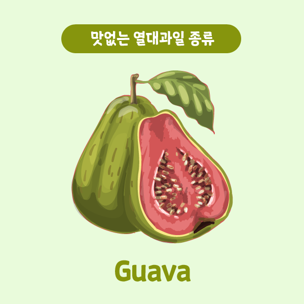 열대과일 종류 및 영어로 표현 정리 네이버 블로그