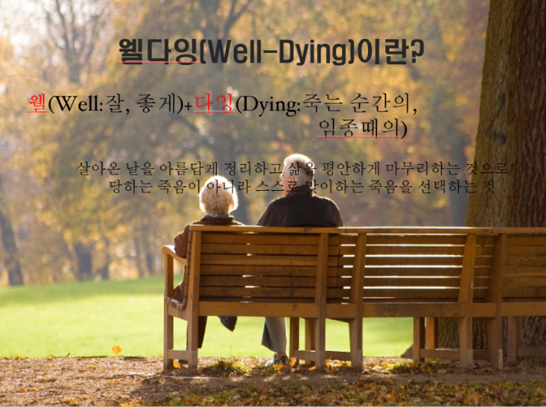 웰다잉지도사웰다잉강사 백세시대 노후대비 자격증 교육과정 안내 네이버 블로그