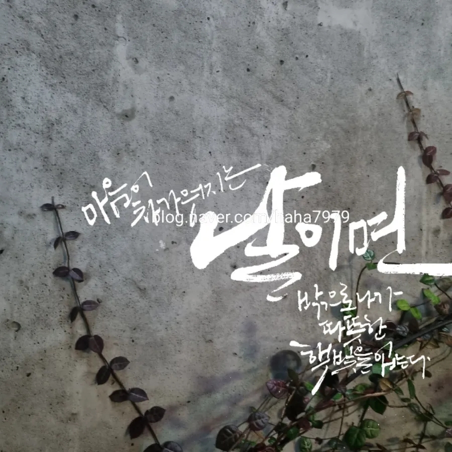 진주교육대학교 평생교육원 펜캘리그라피 수업 모습 네이버 블로그