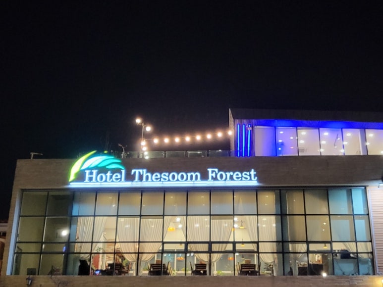 용인 에버랜드 근처 숙소 더숨포레스트호텔 용인 숙박 추천 네이버 블로그