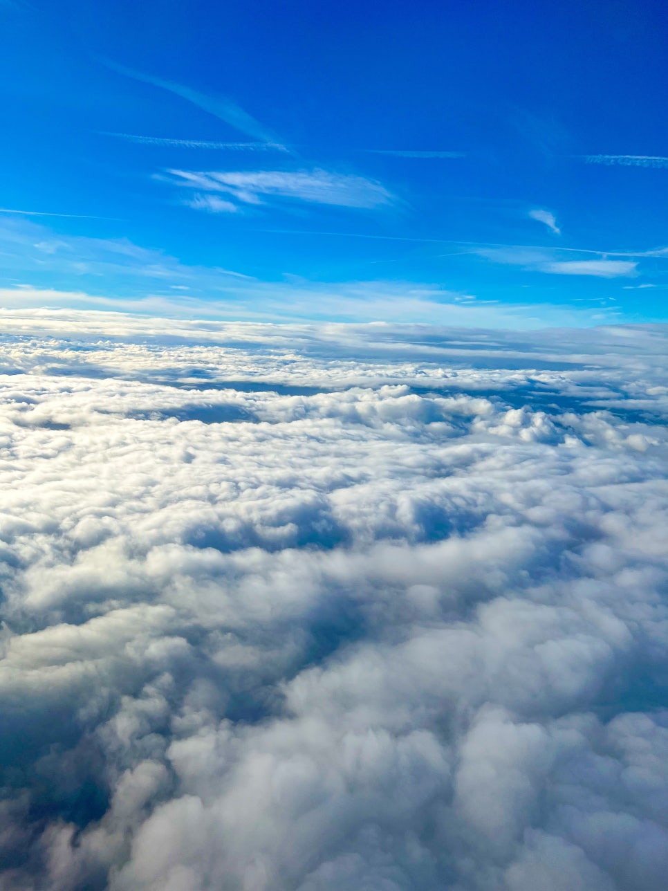 터키항공 이스탄불 경유 런던행 TK21,TK1979 기내식, 레그룸 좌석 지정 탑승 후기 : 네이버 블로그