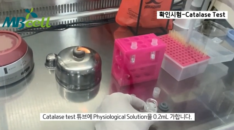 [미생물 동정시험] Catalase, Oxidase 시험/ Catalase/Oxy Test Kit 이용하기 : 네이버 블로그