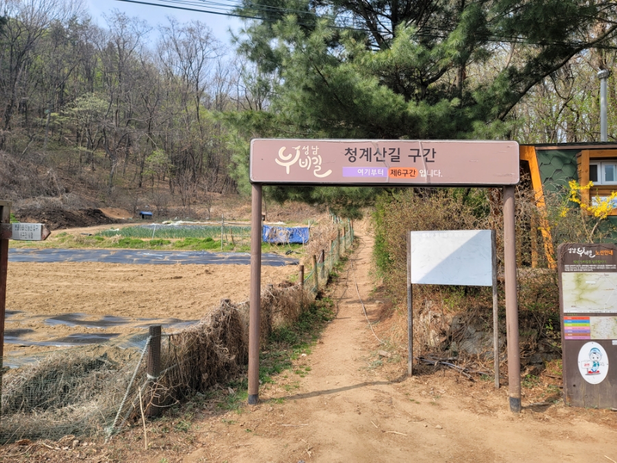 봄에 가기 좋은 청계산 옥녀봉 등산코스 개나리골 옥녀봉 옛골 코스 🌸 네이버 블로그