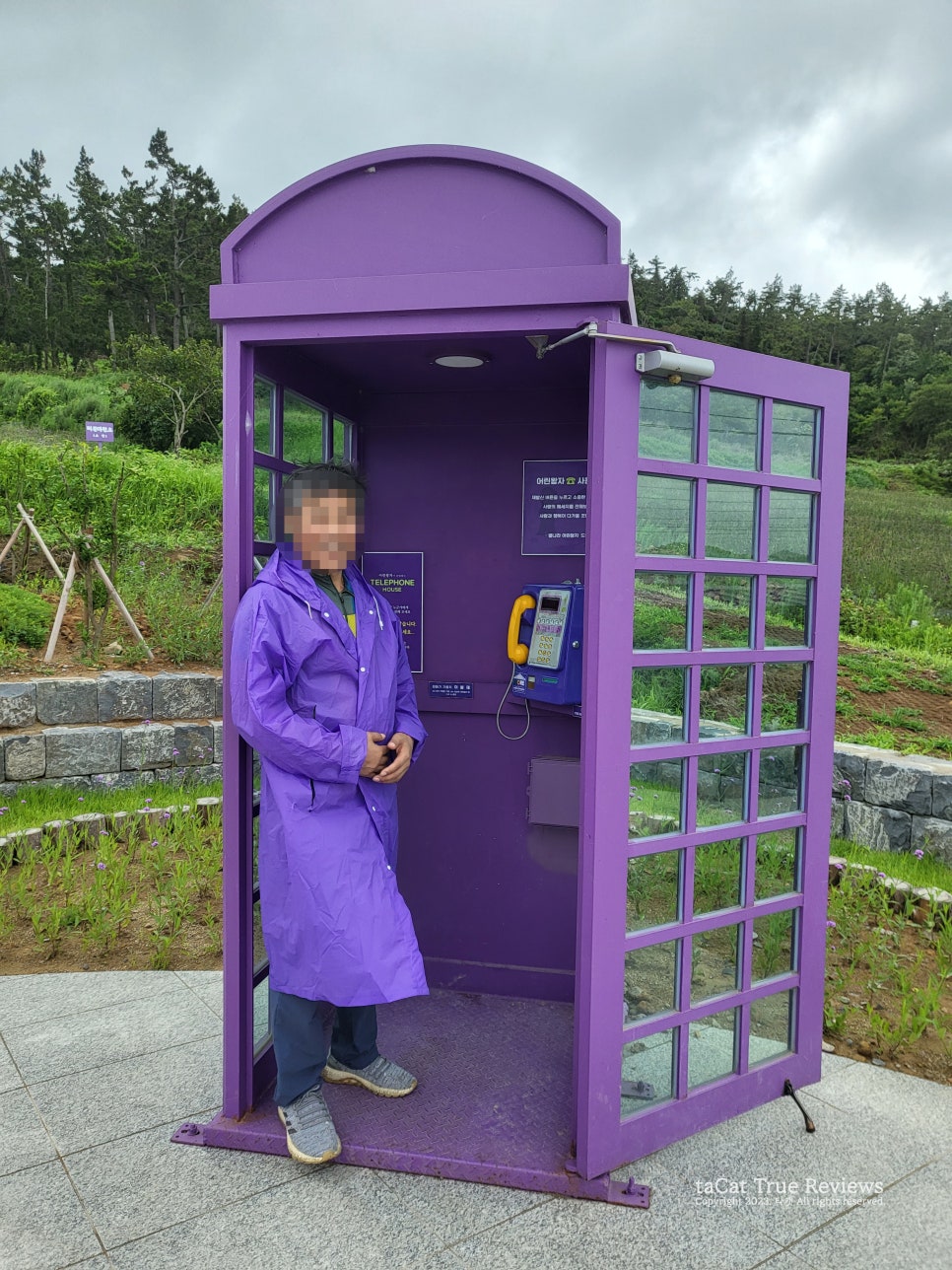 신안 퍼플섬 보라색 섬마을 퍼플교 가는법입장료주차 네이버 블로그