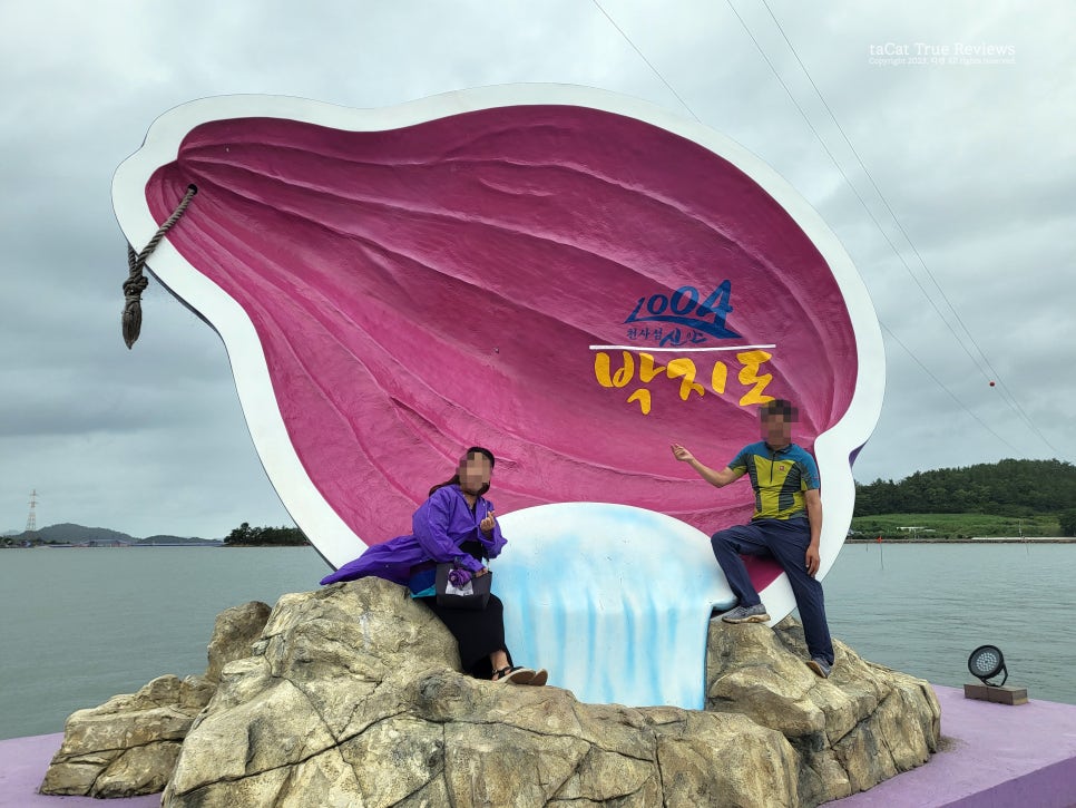 신안 퍼플섬 보라색 섬마을 퍼플교 가는법입장료주차 네이버 블로그