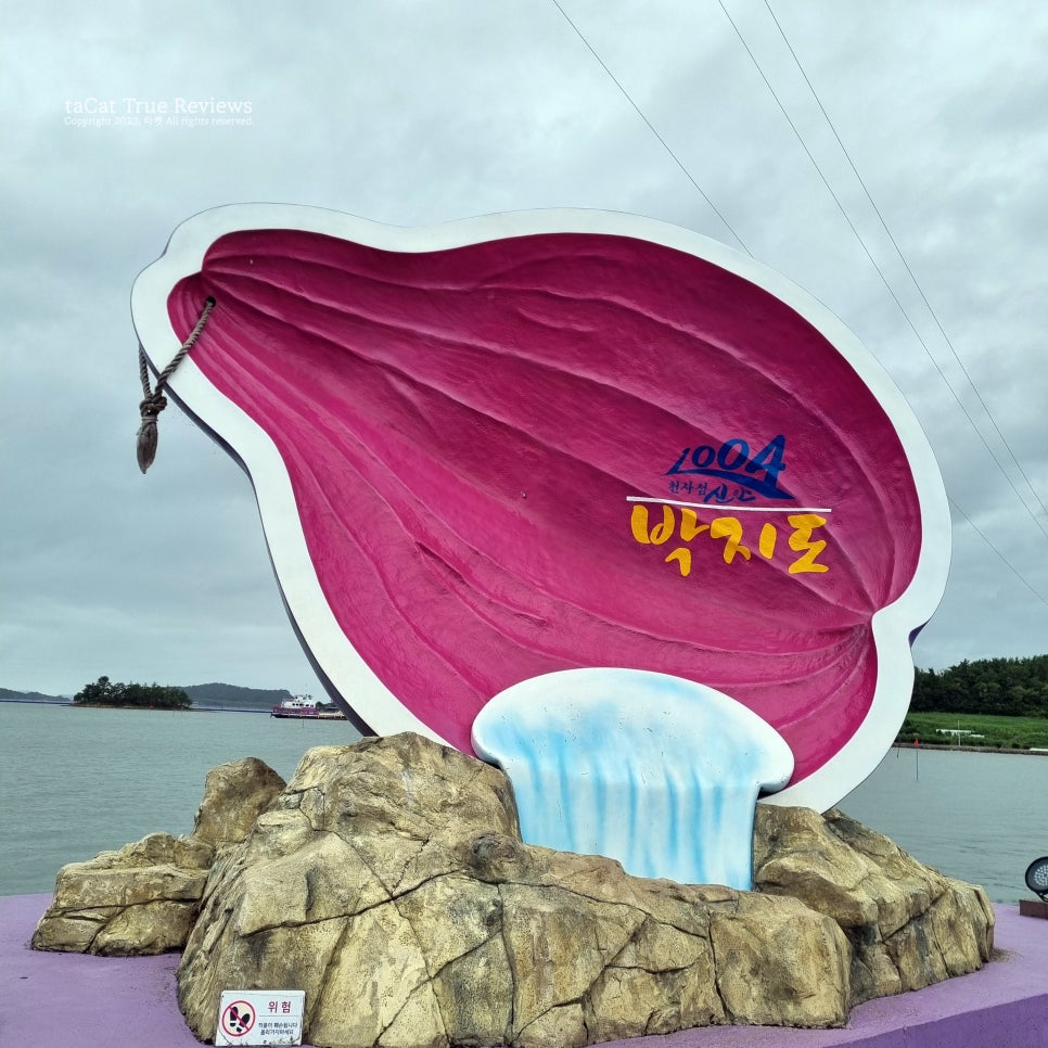 신안 퍼플섬 보라색 섬마을 퍼플교 가는법입장료주차 네이버 블로그