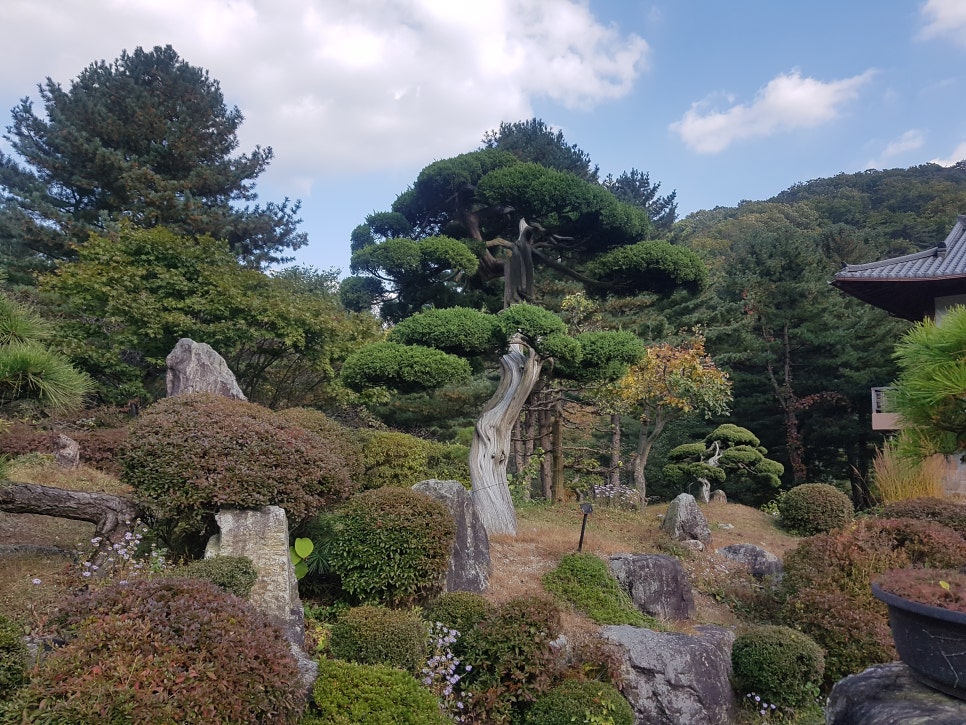 개발행위허가 농지산지전용허가로 지목변경시 개발부담금 네이버 블로그