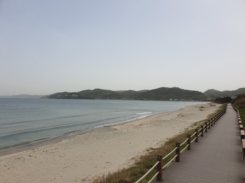 포항 호미반도 해안 둘레길 1코스~4코스까지 완주 6시간20분걷기 네이버 블로그