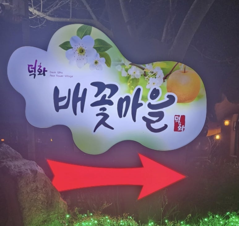 덕화 배꽃마을 다녀왔어요~ 네이버 블로그
