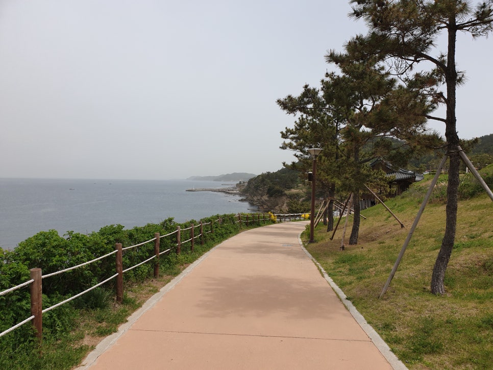 포항 호미반도 해안 둘레길 1코스~4코스까지 완주 6시간20분걷기 네이버 블로그
