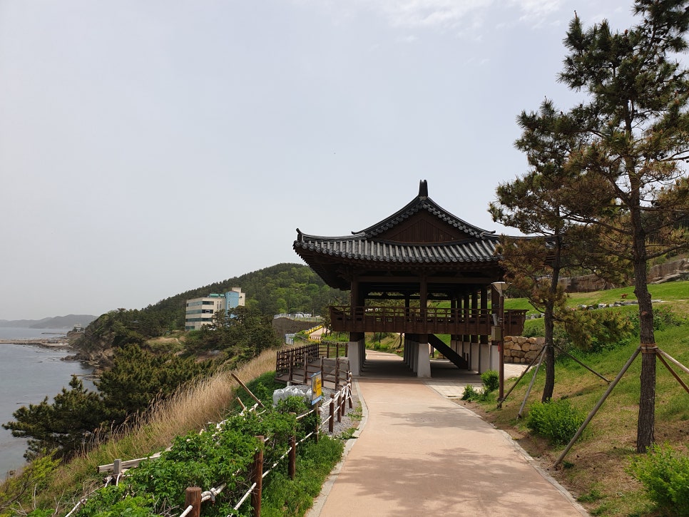 포항 호미반도 해안 둘레길 1코스~4코스까지 완주 6시간20분걷기 네이버 블로그