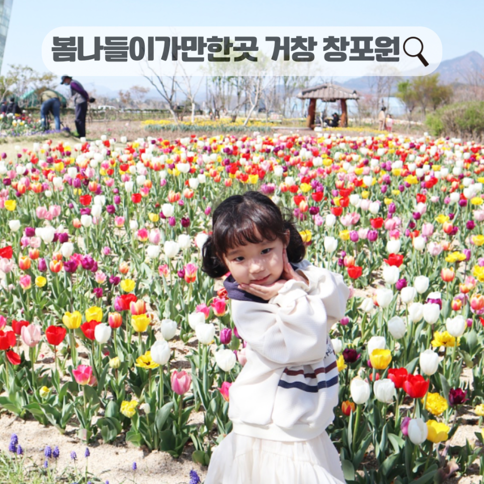 봄나들이갈만한곳 경남 튤립 꽃구경 무료관람 거창 창포원 네이버 블로그