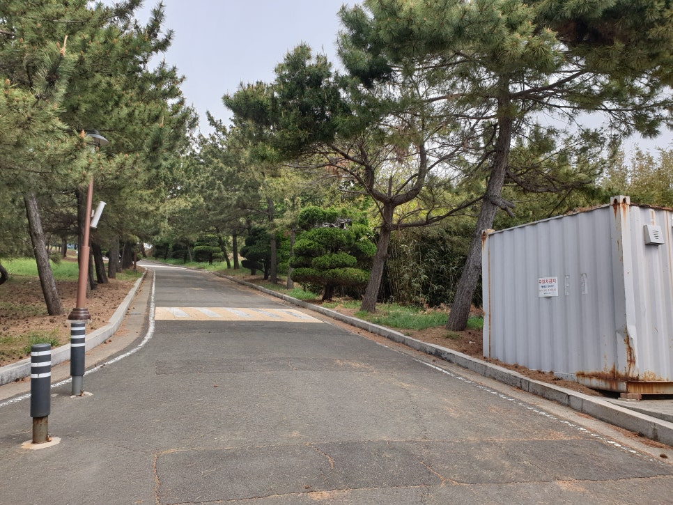 포항 호미반도 해안 둘레길 1코스~4코스까지 완주 6시간20분걷기 네이버 블로그
