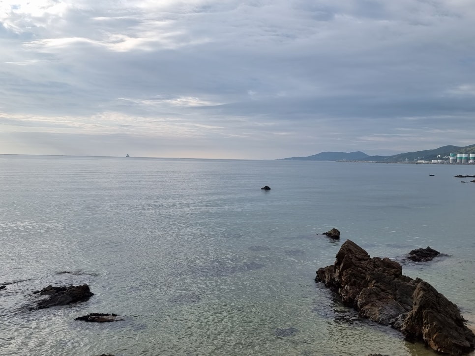 장기요양급여비용환수결정 취소 실제 사례로 알아보기 : 네이버 블로그