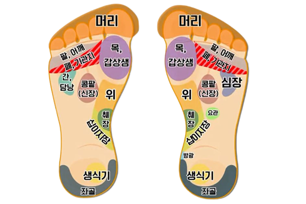 발지압점 귀지압점 손바닥 지압점 위치와 반사요법 네이버 블로그