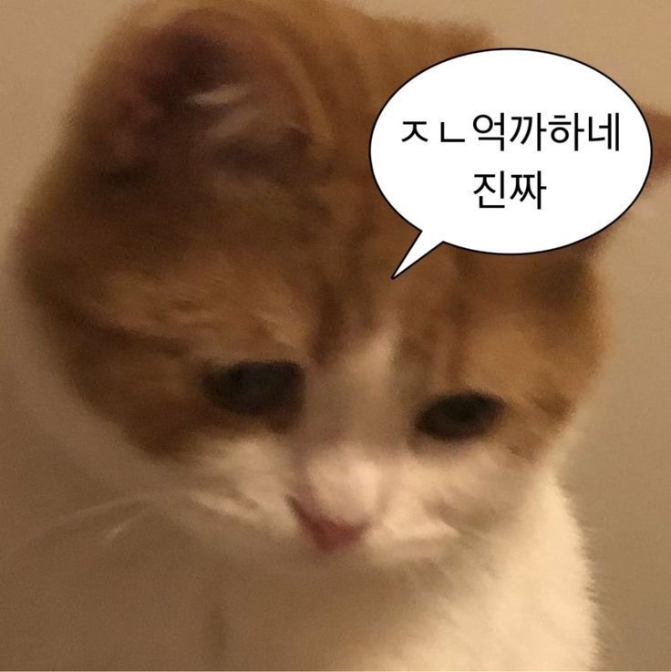 문학 개념어 감각적 심상감각적 이미지 감각적 표현 시각촉각후각청각미각 네이버 블로그