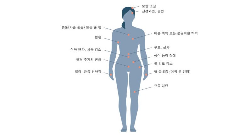 씬지록신 신지록신 총정리 씬지록신정 부작용 복용법 주의사항 네이버 블로그