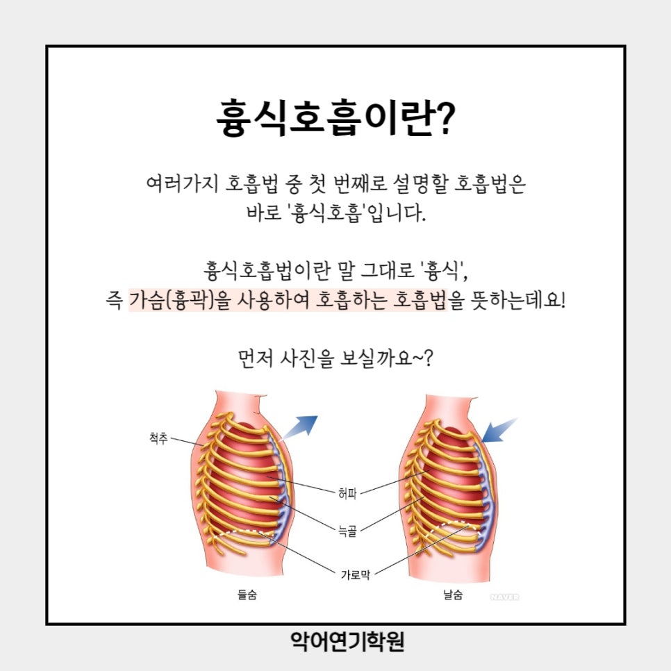 필름메이커스 커뮤니티 뮤지컬과입시뮤지컬발성훈련 흉식호흡을 알아보자악어연기학원