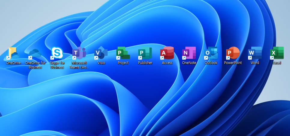 MS 오피스 설치 Microsoft 365 Beta, Office Professional 2021, Office LTSC ...