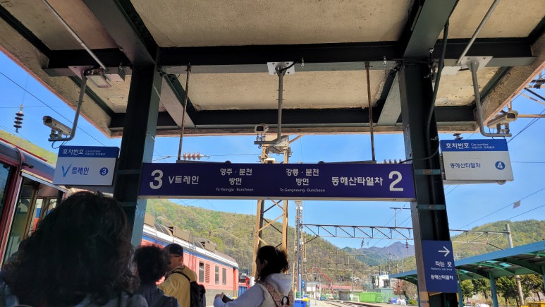 태백 백두대간 협곡열차 철암역에서 분천역 싼타마을까지 네이버 블로그
