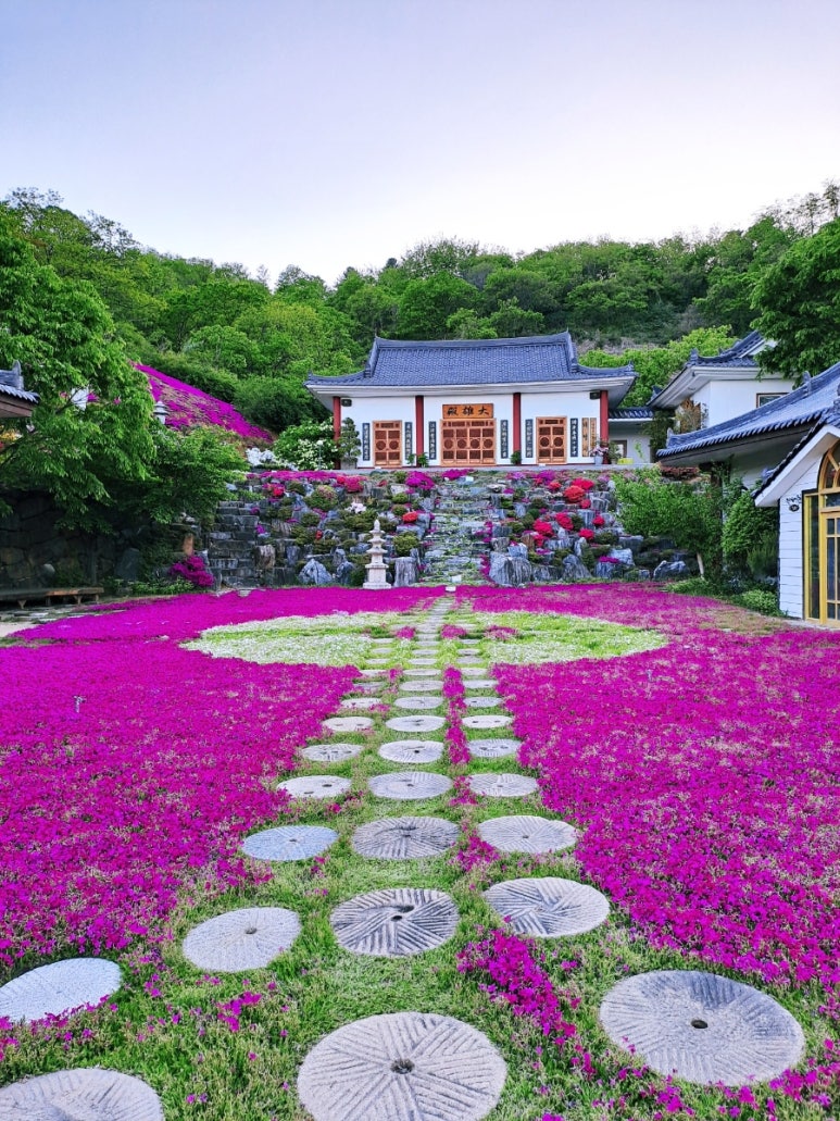 산청 가볼만한곳 대명사 꽃잔디 네이버 블로그