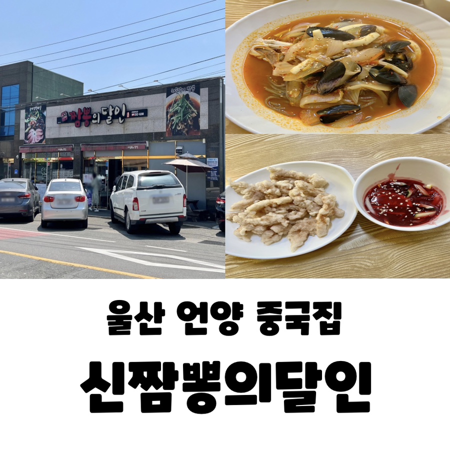 울산 언양 중국집 신짬뽕의달인 짬뽕 간짜장 탕수육 맛집 : 네이버 블로그