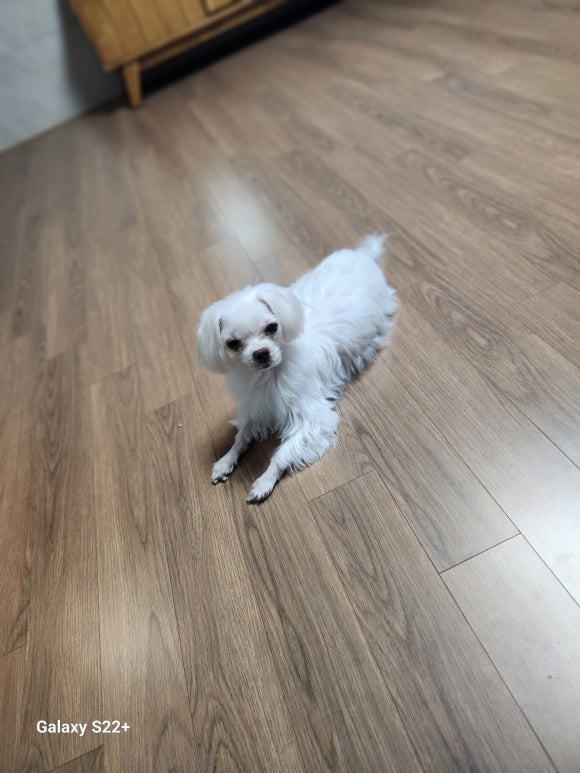 여름엔 제습공기청정기 : 네이버 블로그