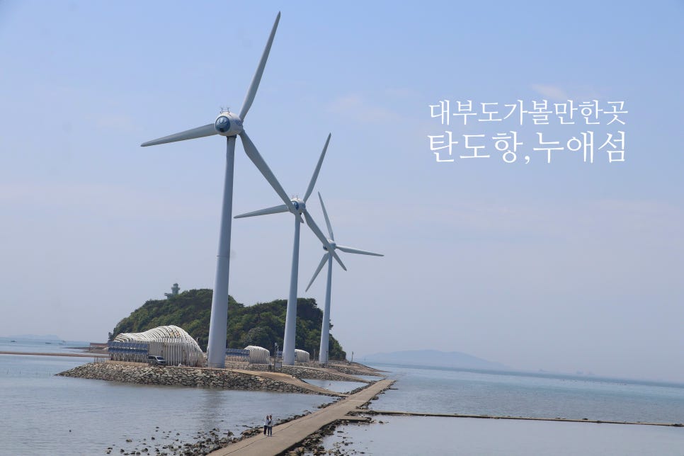 대부도 가볼만한곳 탄도항 물때 누에섬 등대 네이버 블로그