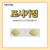 전문 당뇨병 치료제포시가정dapagliflozin다파글리플로진 네이버 블로그