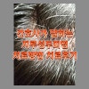 간호사가 직접 겪은 지루성두피염 증상 처방 치료 방법 치료 후기 네이버 블로그