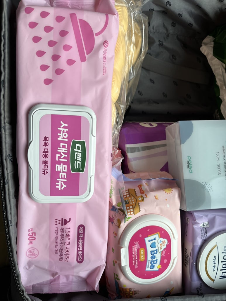 서울대병원 전종관 교수님 자연분만 출산가방 필수 리스트(feat. 라솜 창경궁 조리원) : 네이버 블로그