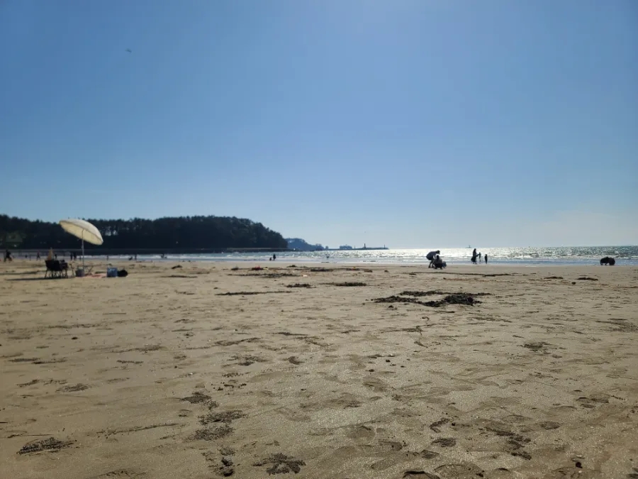 충남 서천 한적하고 여유로웠던 당일치기 서천 여행 서천수산물 특화시장춘장대대천해수욕장 네이버 블로그