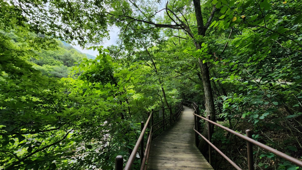 〔전북남원〕지리산 뱀사골계곡 트레킹코스 안내 -뱀사골 탐방안내소~뱀사골 신선길~뱀소 왕복(약 8km)-반선~남원, 서울~지리산 ...