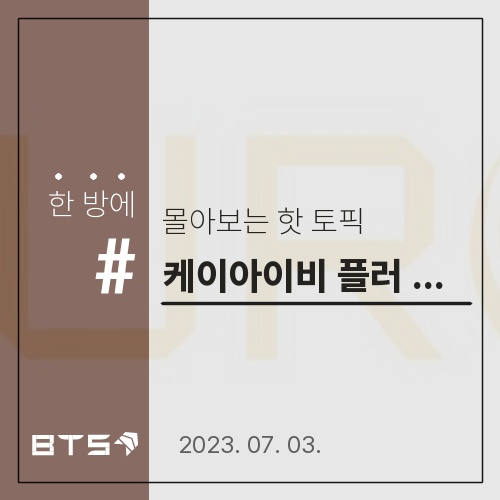 케이아이비 플러그 에너지(Kib plug energy Co., Ltd.) 사명 변경 및 이사 선임에 대한 안건 : 네이버 블로그