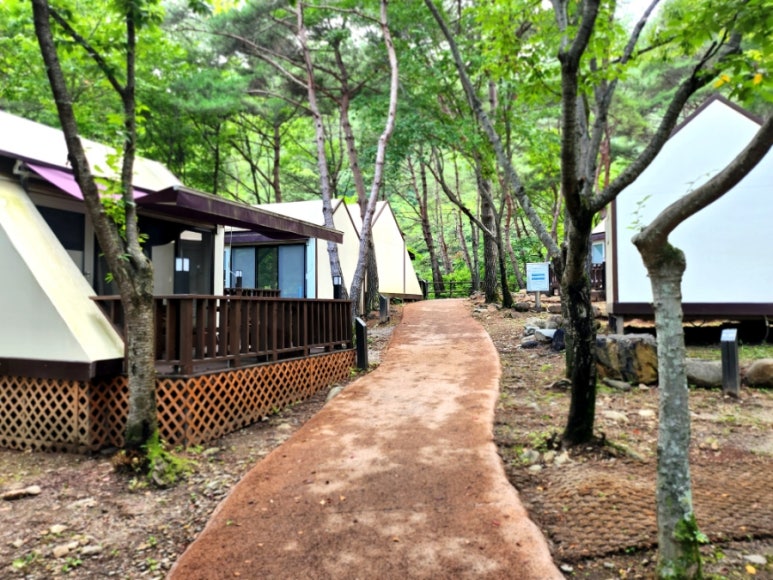 지리산 국립공원 내원자동차야영장 예약방법카라반특화야영장 체험후기 네이버 블로그